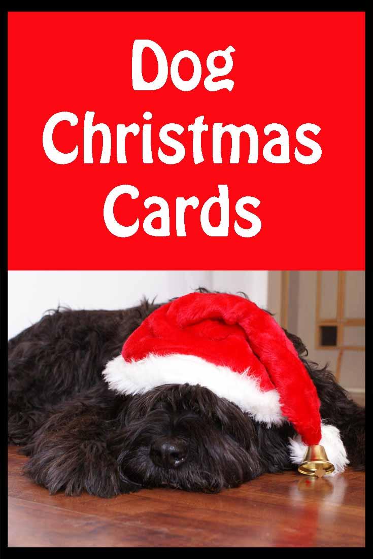 Dog Christmas Cards The Cool Card Shop Dog Christmas Cards The Cool Card Shop